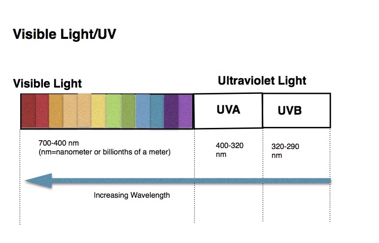 Protect Your Keiki’s Eyes From the Sun » Blog